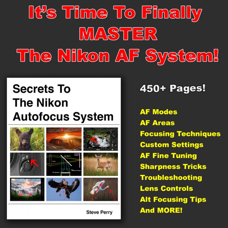 Secrets To The Nikon Autofocus System: DSLR Edition – Backcountry ...