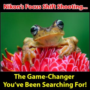 Focus Shift Shooting Video Workshop (Nikon Focus Stacking ...