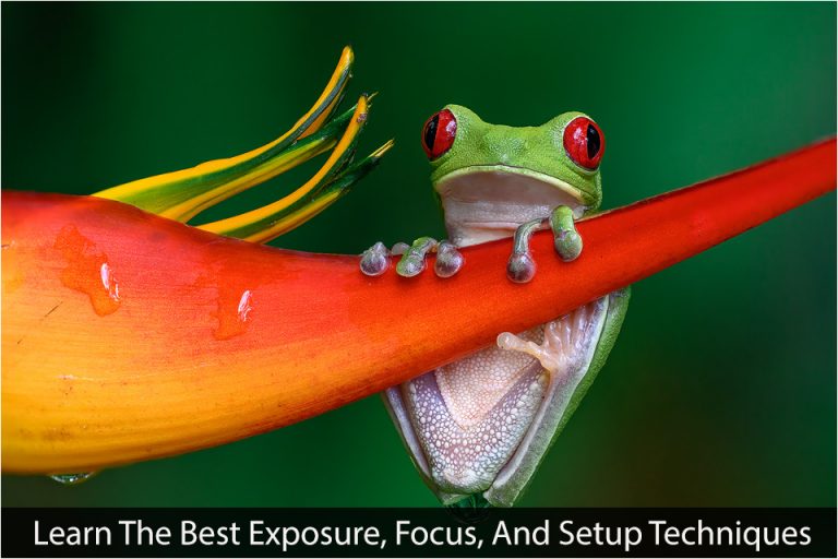 Focus Shift Shooting Video Workshop (Nikon Focus Stacking ...