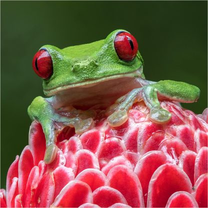 Focus Shift Shooting Video Workshop (Nikon Focus Stacking ...