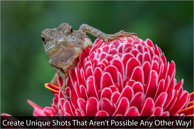 Focus Shift Shooting Video Workshop (Nikon Focus Stacking ...