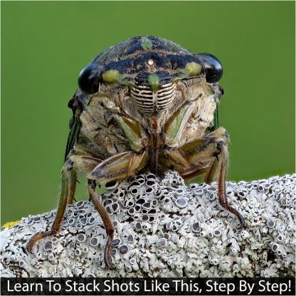 Focus Shift Shooting Video Workshop (Nikon Focus Stacking ...