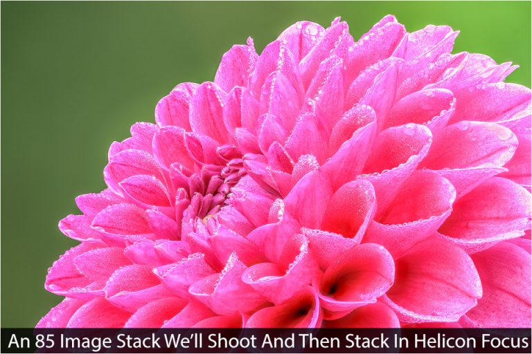 Focus Shift Shooting Video Workshop (Nikon Focus Stacking ...