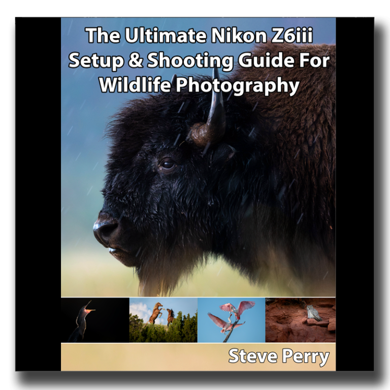 The Ultimate Nikon Z6iii Setup & Shooting Guide For Wildlife ...
